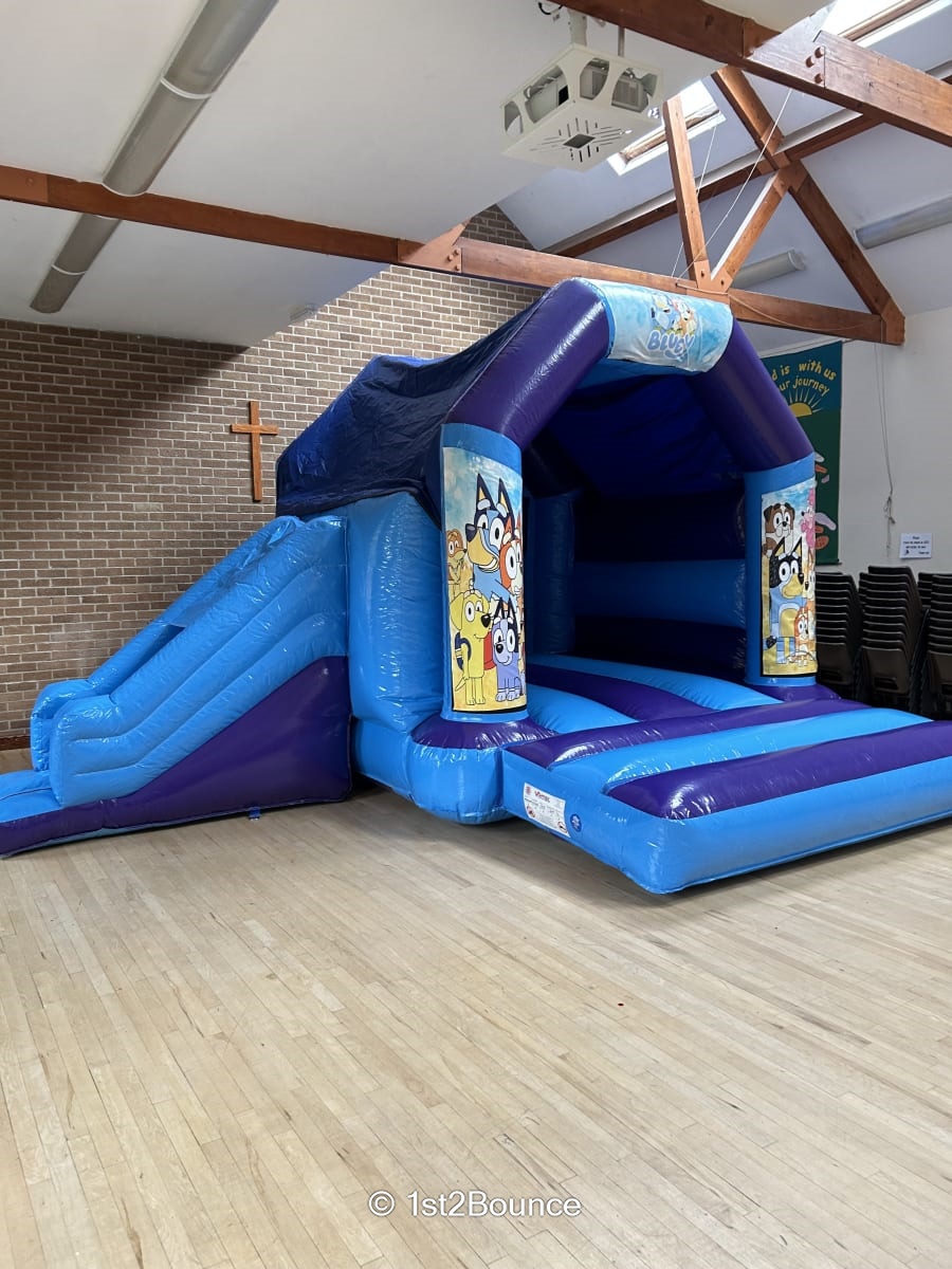 Bluey Side Slide Bouncy Castle - Bouncy Castle Hire in Chelmsford ...