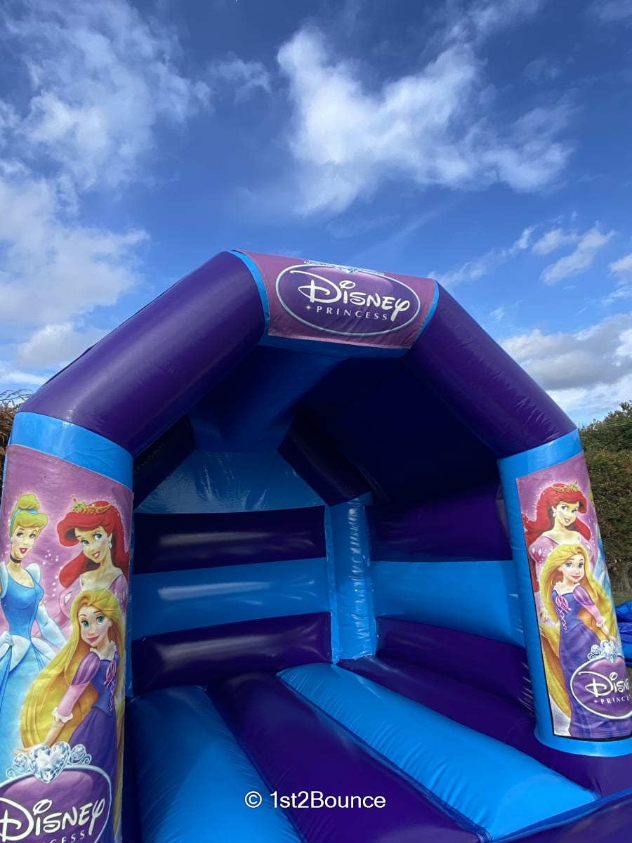 Disney Princess Side Slide Bouncy Castle - Bouncy Castle Hire in ...