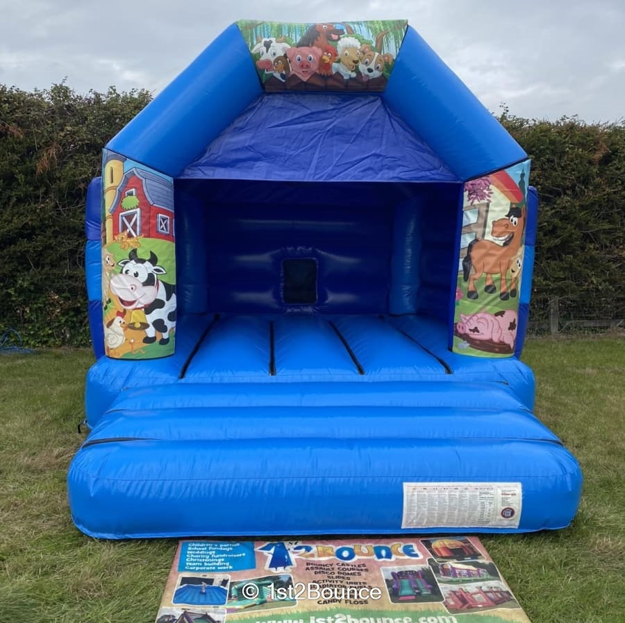 Bouncy Castle Hire - Bouncy Castle Hire in Chelmsford, South Woodham ...