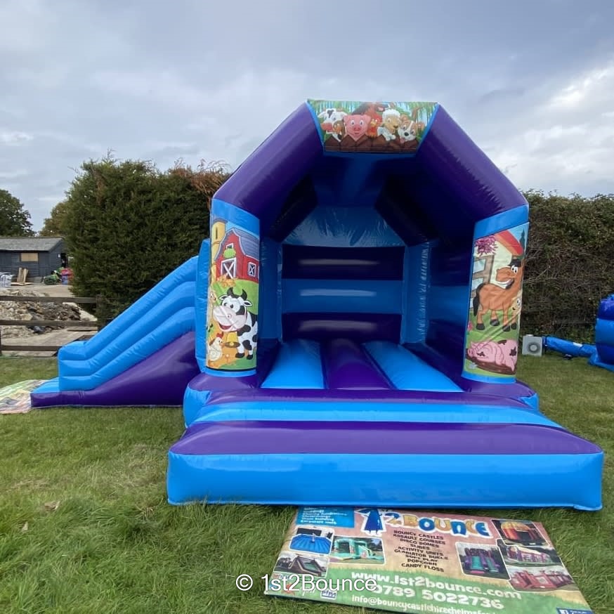 Bouncy castles with slide hire Chelmsford Essex