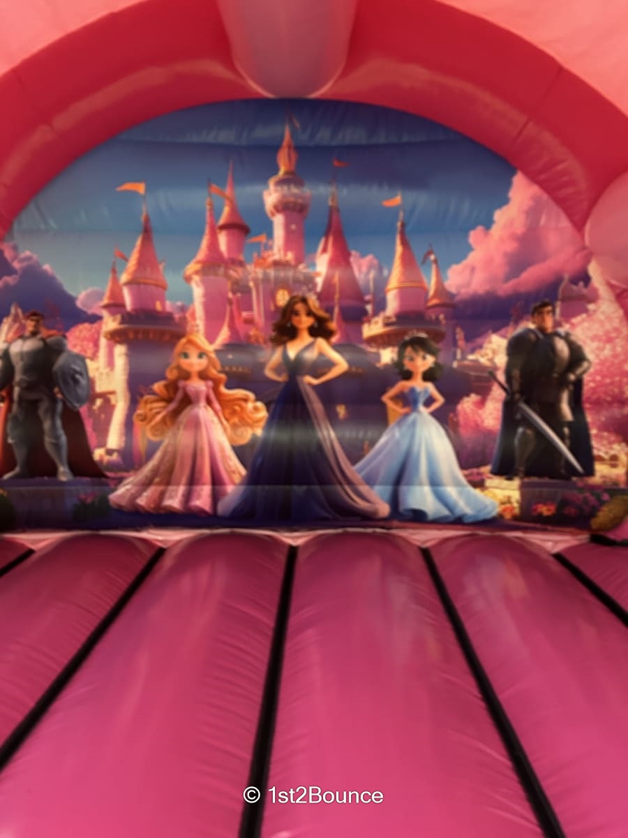 Princess 12x12 3D bouncy castle - Bouncy Castle Hire in Chelmsford ...