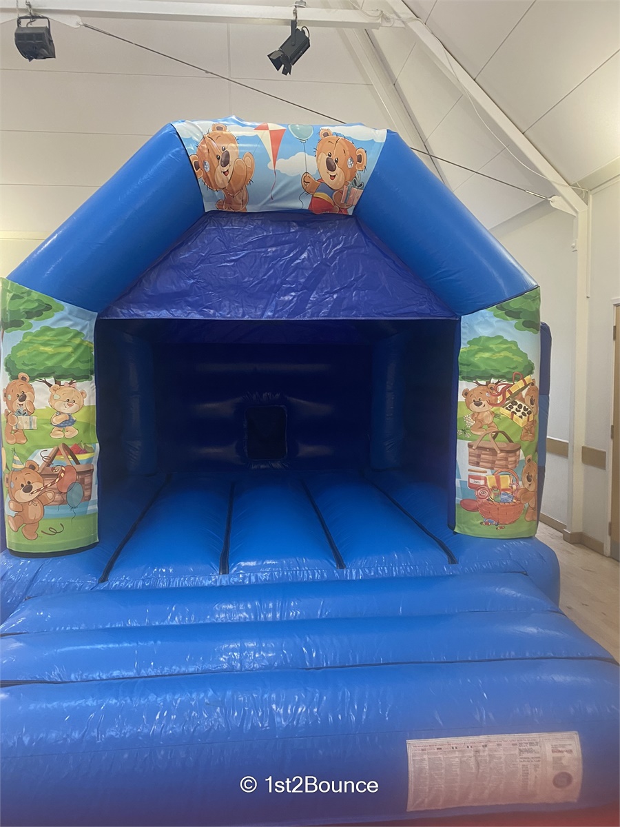 Teddy Bears Picnic Castle Package - Bouncy Castle Hire in Chelmsford ...