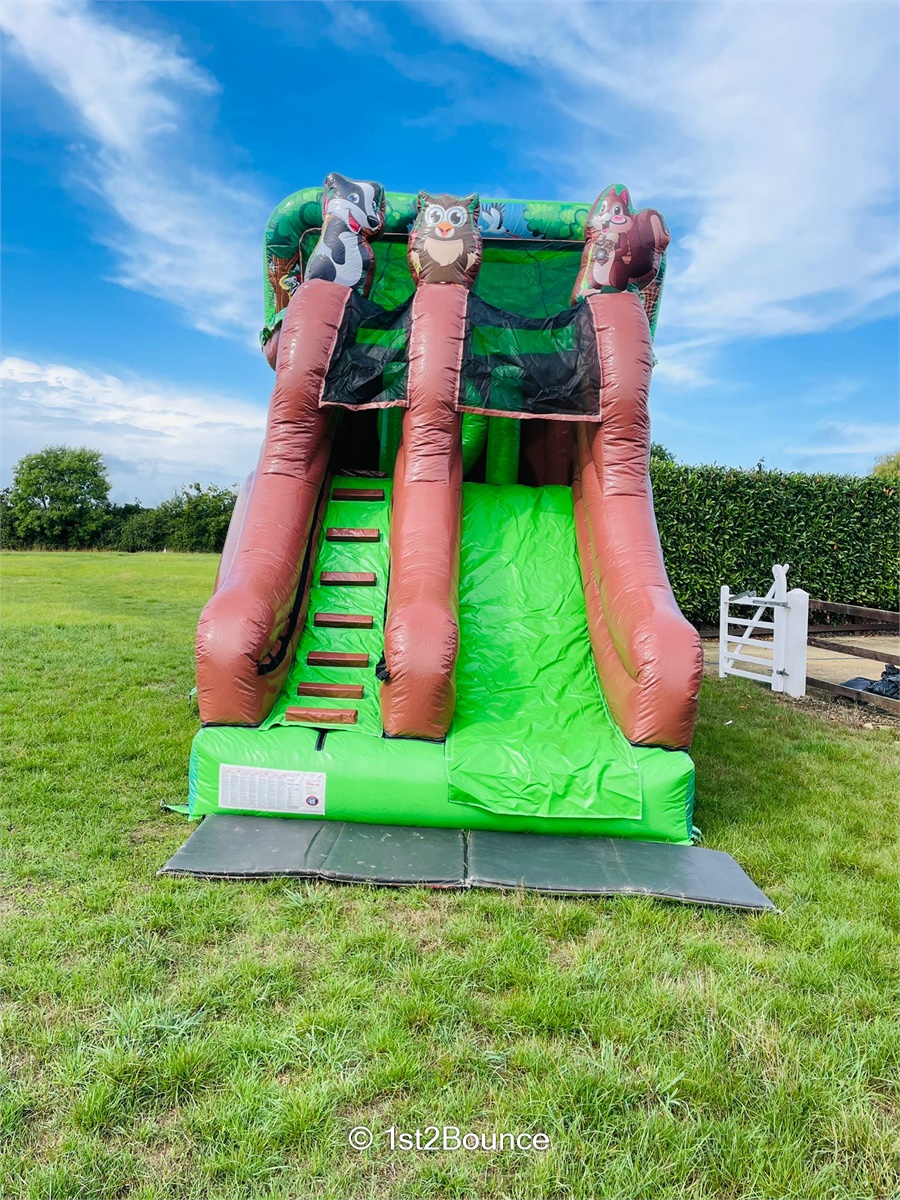 Tree House Adventure Slide Castle - Bouncy Castle Hire in Chelmsford ...
