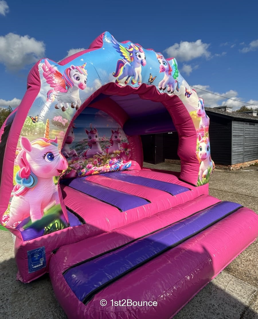 Unicorn Bouncy castle hire Chelmsford , Billericay & Brentwood Essex