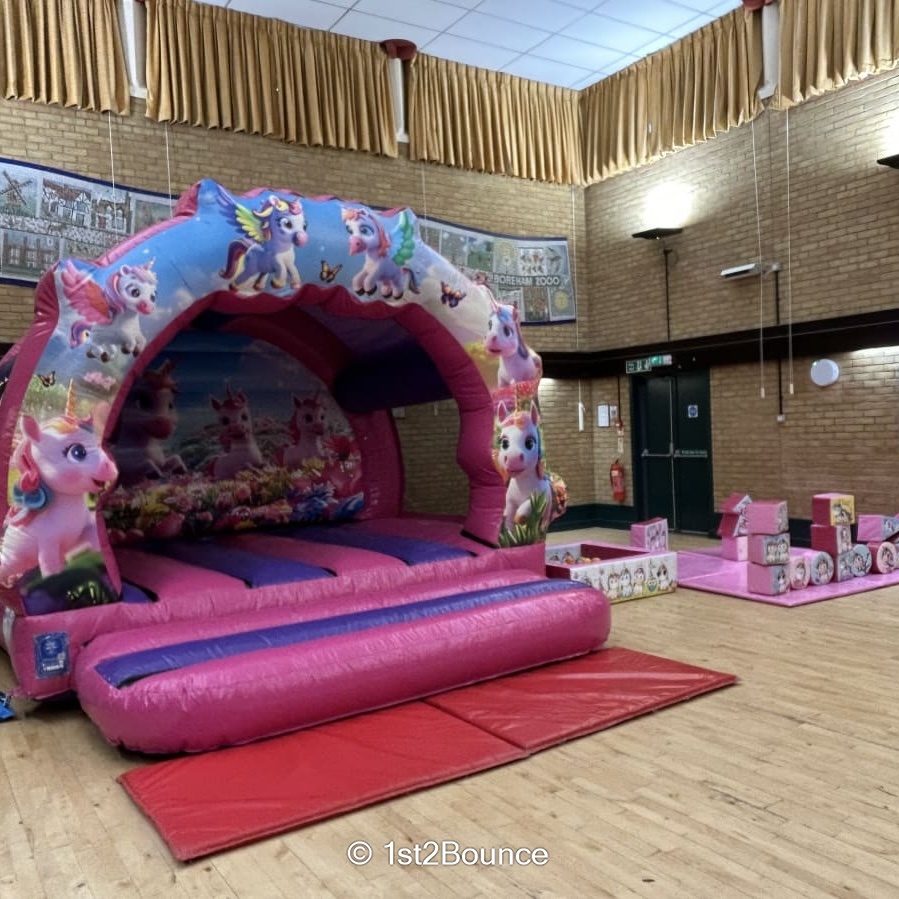 Princess and Unicorn theme - Bouncy Castle Hire in Chelmsford, South ...